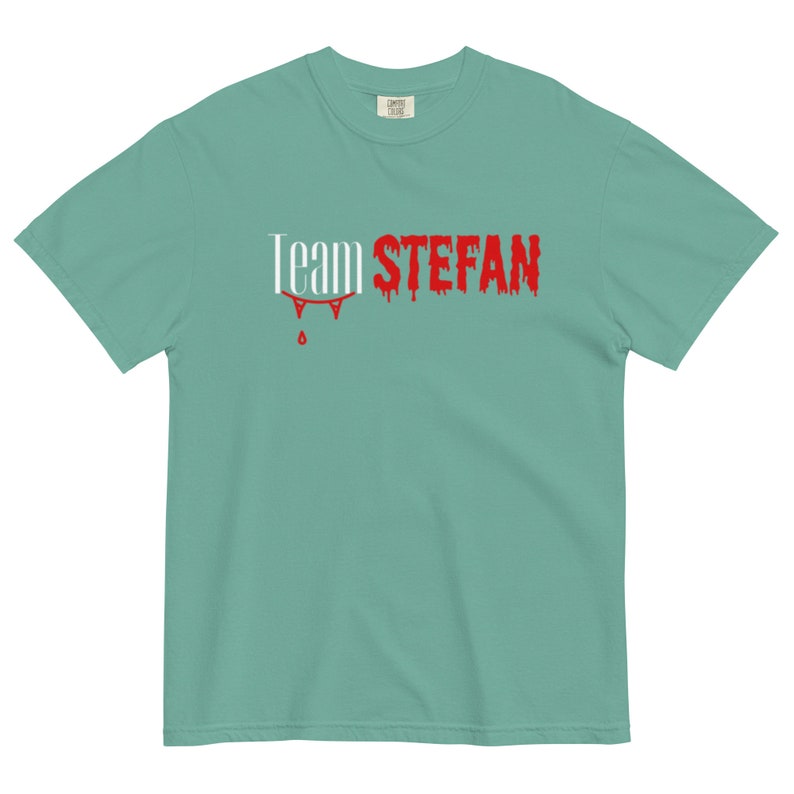 Team Stefan Salvatore. the Vampire Diaries. TVD Merch. Salvatore ...