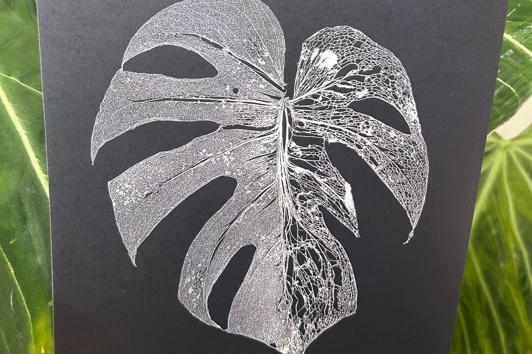 Monstera Albo Leaf Skeleton Print Half Moon Plant Art Home Decor - Etsy