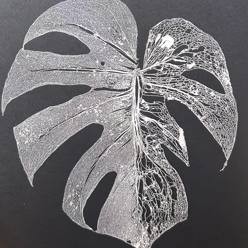 Skeleton Leaf Art - Etsy