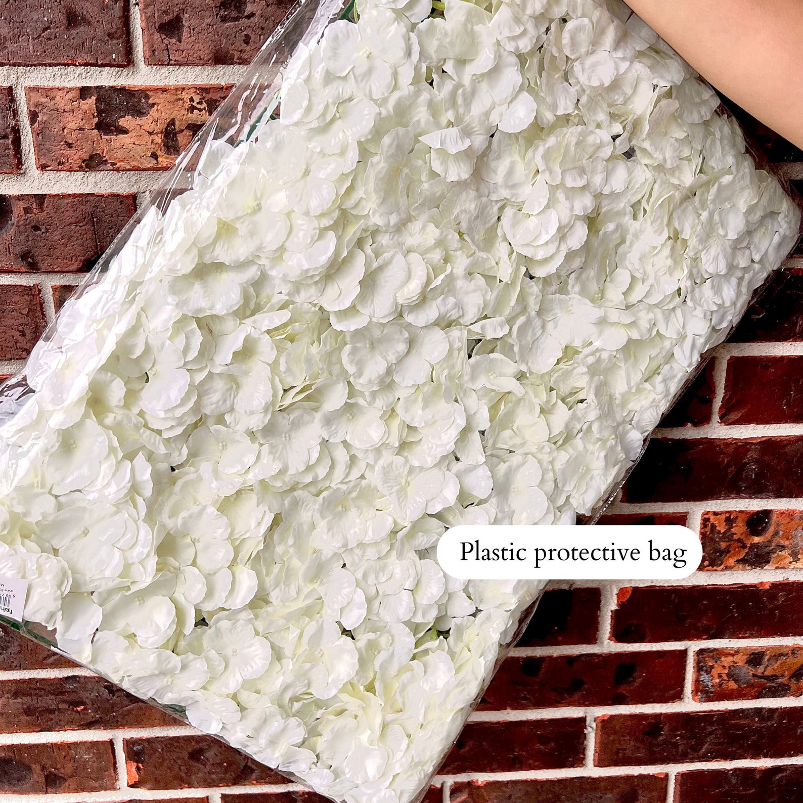 Cream Silk Hydrangea Hedge for Wedding Photo Backdrops, Wall Flowers ...