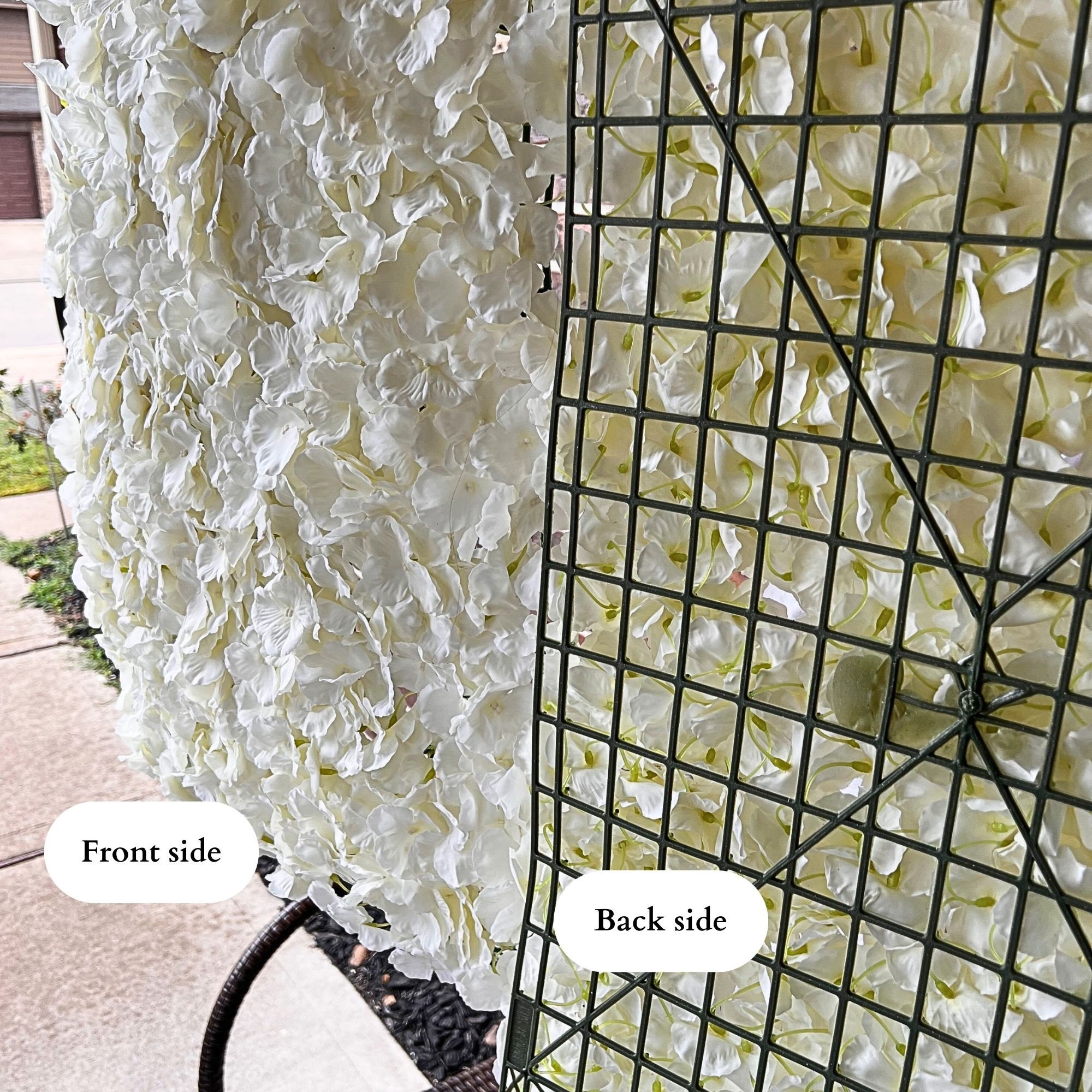 Cream Silk Hydrangea Hedge for Wedding Photo Backdrops, Wall Flowers ...