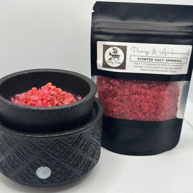 Himalayan Salt Decor - Etsy