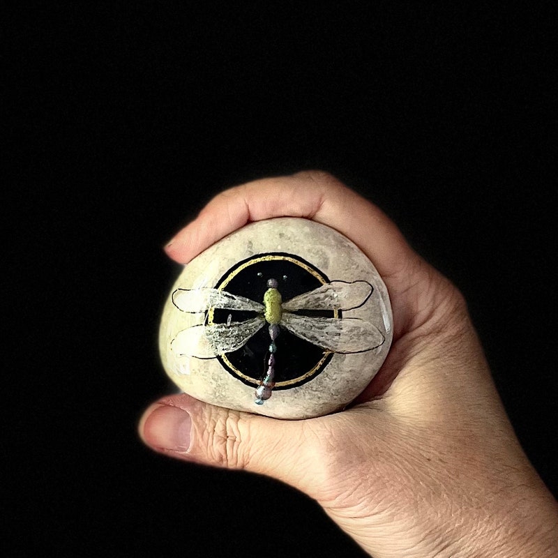 Dragonfly Painted Rock - Etsy