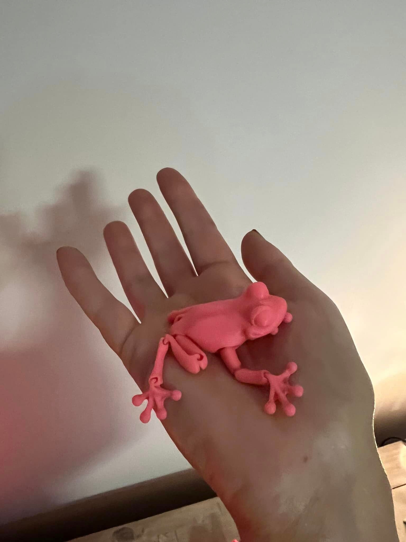 Flexi Frog 3D Printed Poseable Amphibian Model - Etsy Australia