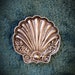 Scallop Shell Pin - Etsy