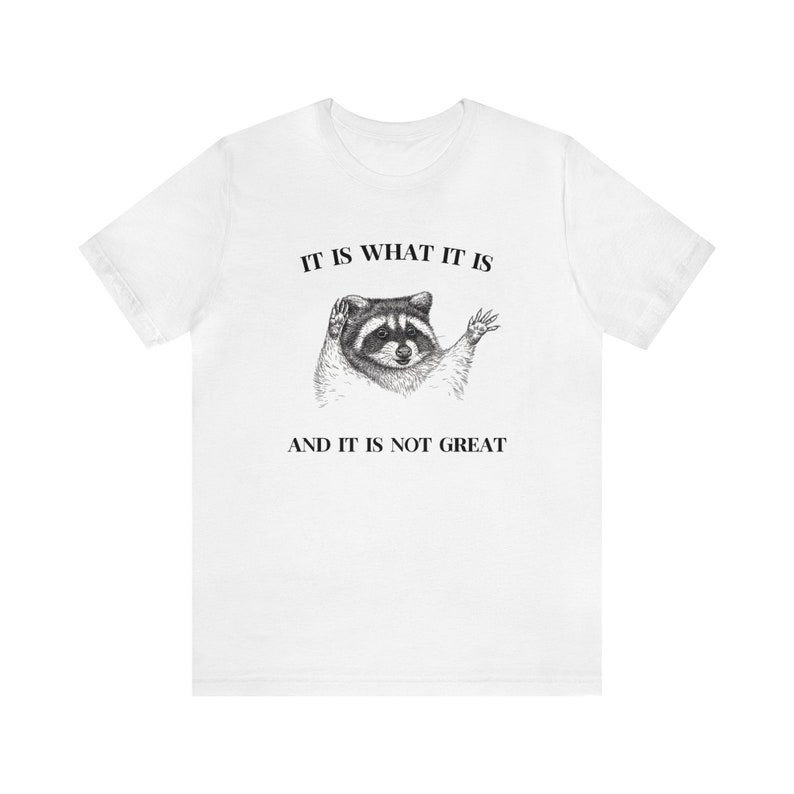 It is What It is and Its Not Great, Raccoon Shirt, Meme T Shirt, Funny ...