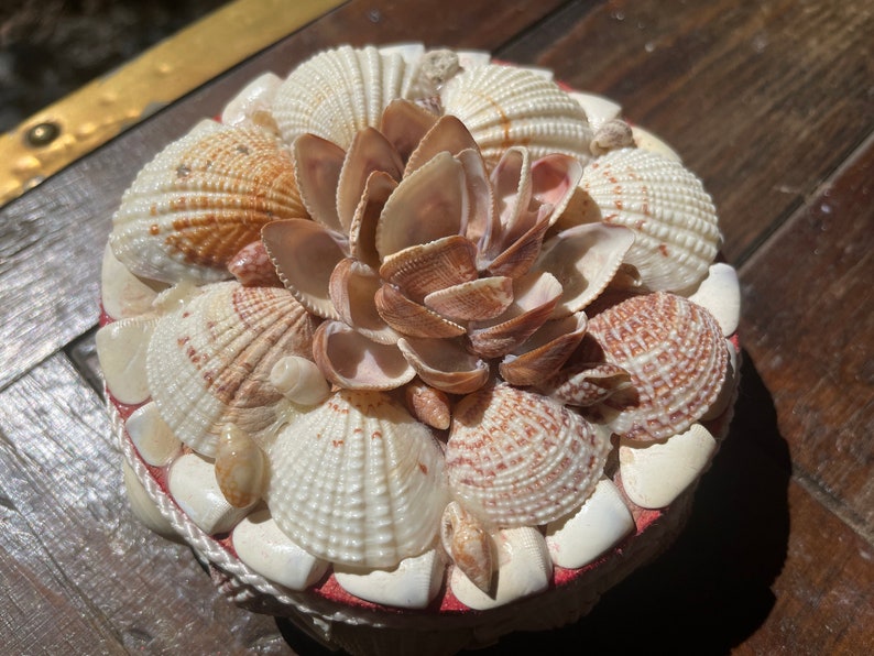 Vintage Shell Box - Etsy