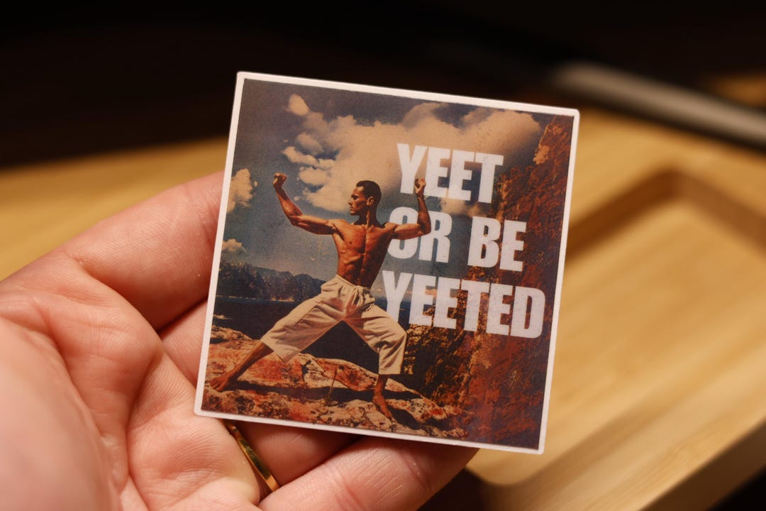 Yeet or Be Yeeted, Gen Z Laminated Vinyl Sticker - Etsy
