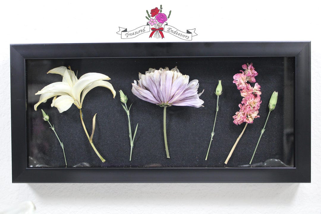 Natural Beauty Preserved: Dried Lily, Chrysanthemum, Stock and ...