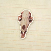 Animal Skull - Etsy