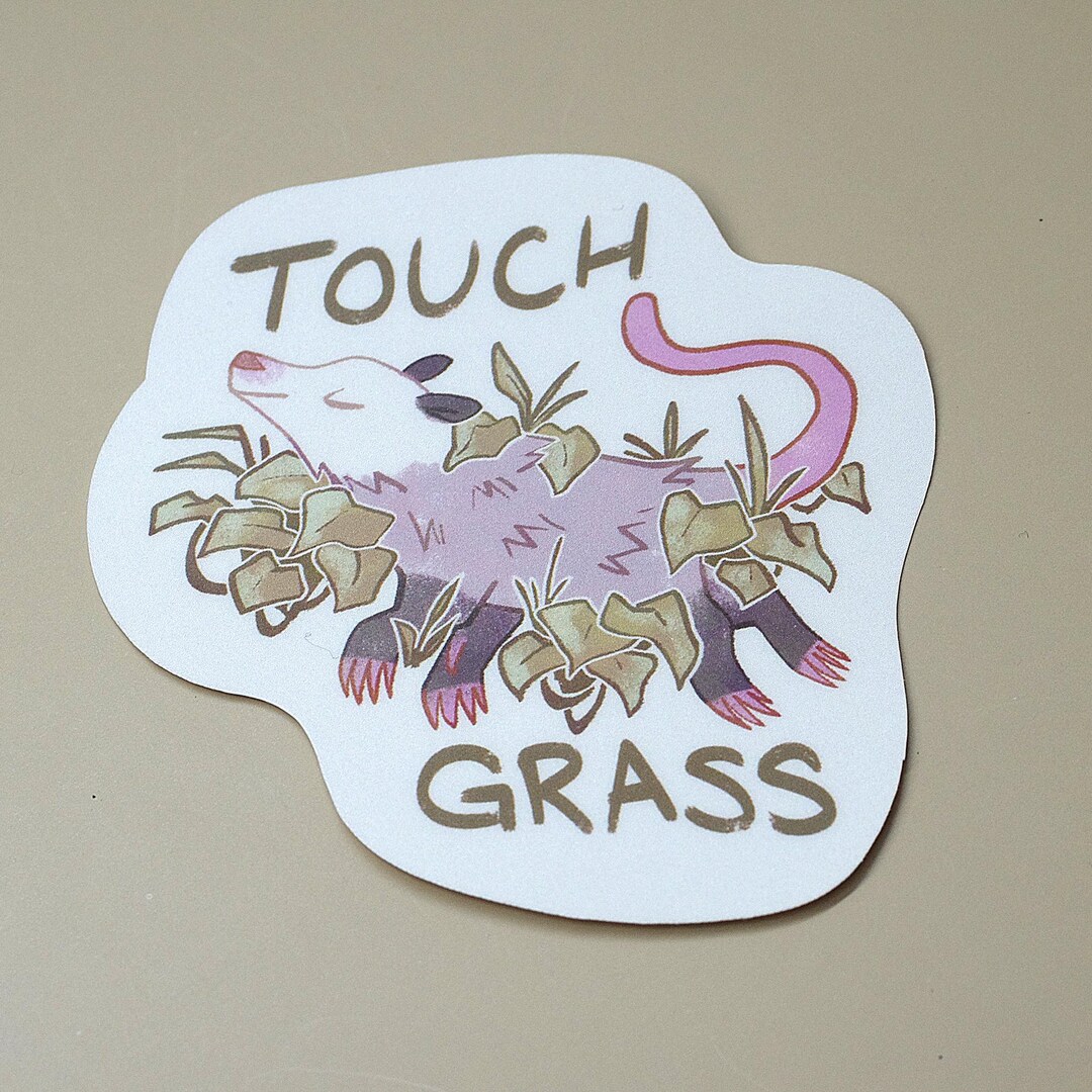 Touch Grass Opossum 3 Inch Sticker - Etsy