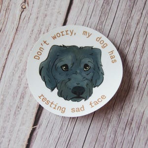 Sad Face Dog Sticker 3 Inch - Etsy