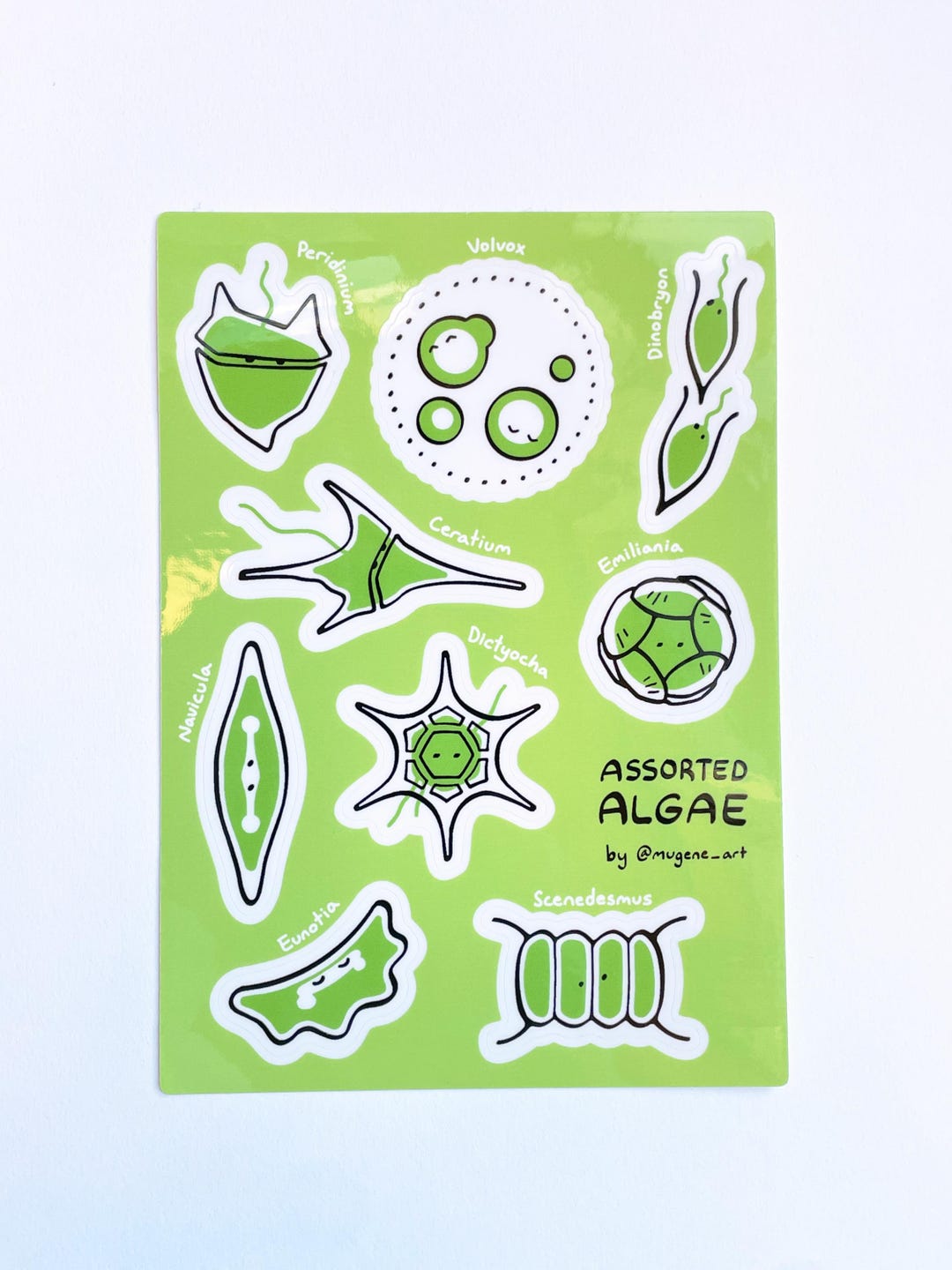 Assorted Algae - Microbe Plankton Clear Sticker Sheet - Etsy