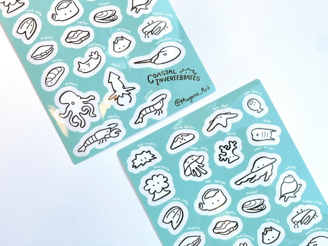 Coastal Invertebrates - Cute Marine Ocean Animals Clear Sticker Sheet ...