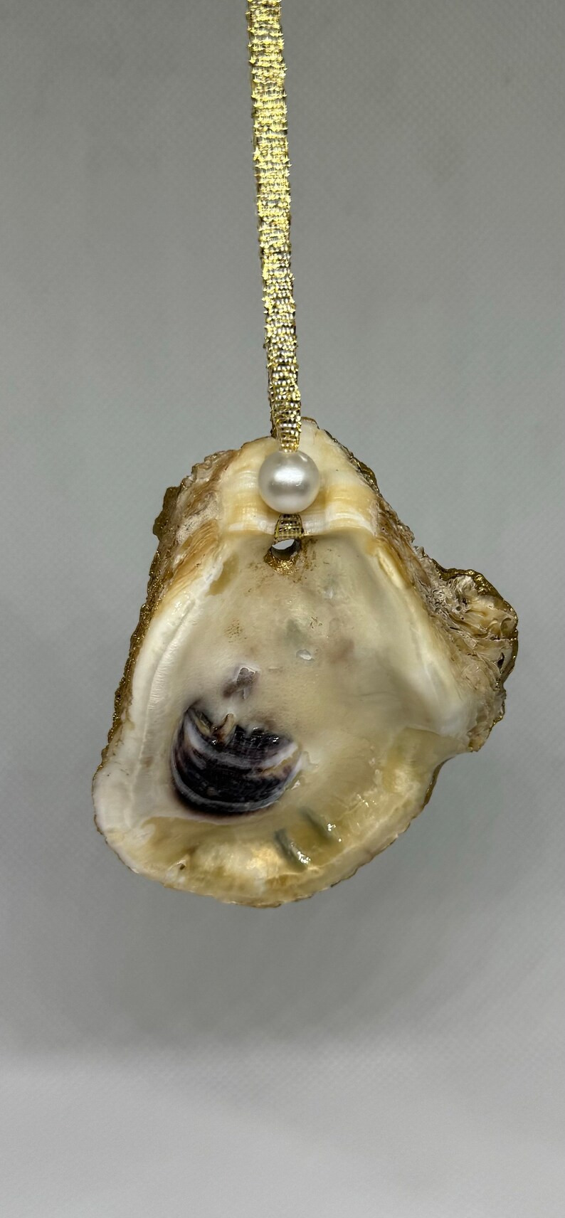 Mini Oyster Shell Ornament - Etsy