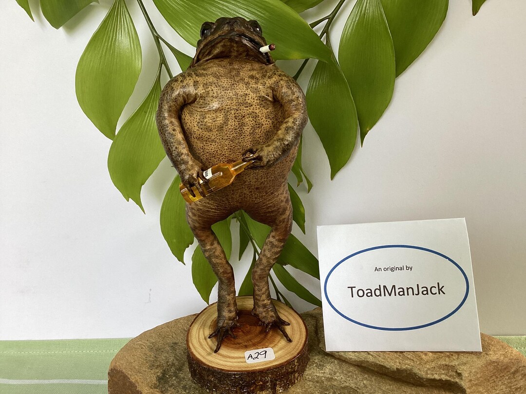 Beer Drinking Cane Toad With Smoke - Etsy Australia
