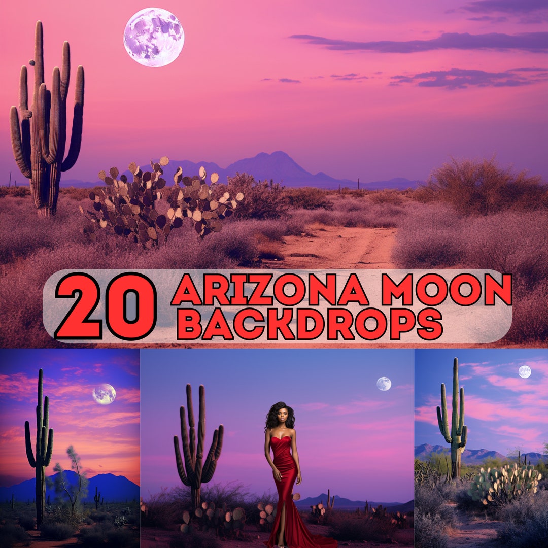 Cacti Moon Desert Purple Sunset Maternity Digital Backdrop Photography ...