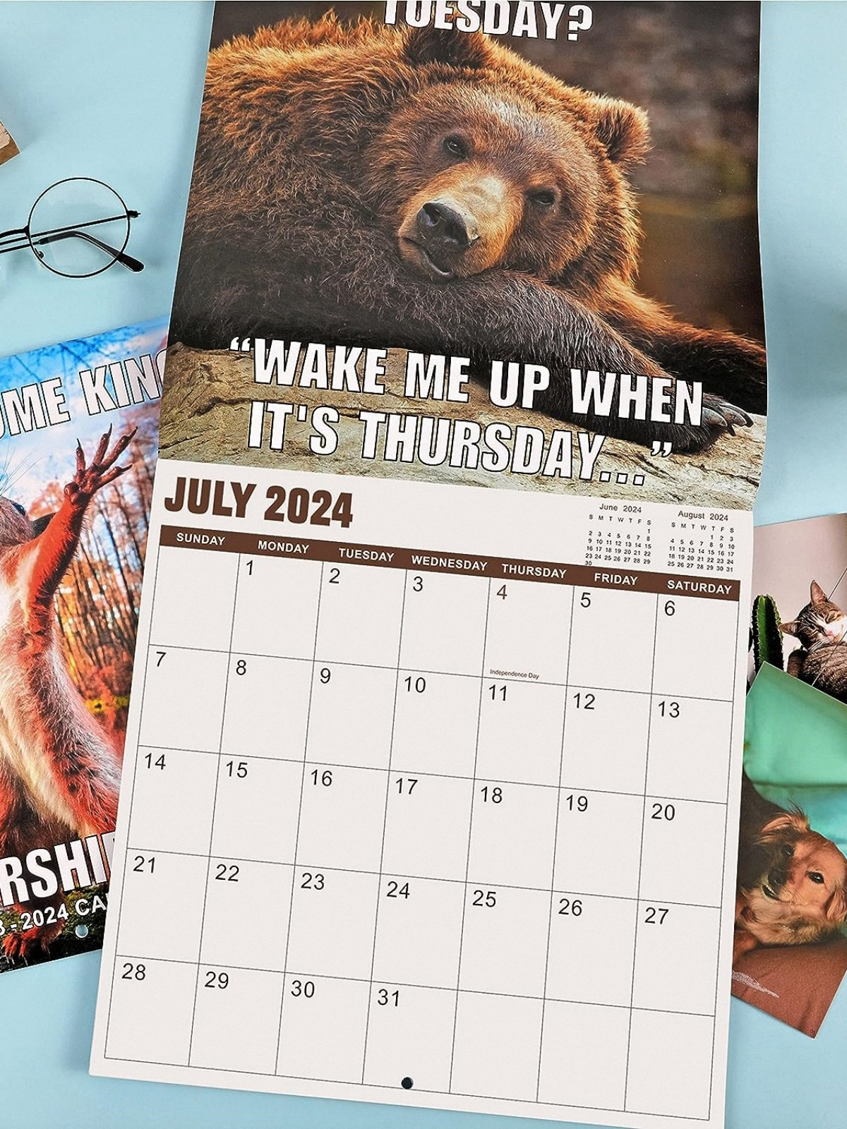 2024 Funny Spoof 12 Cute Animals Monthly Wall Calendar, Thick & Sturdy ...