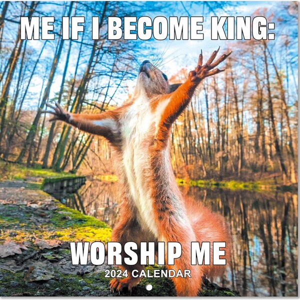 Funny Animals 2024 Calendar - Etsy UK