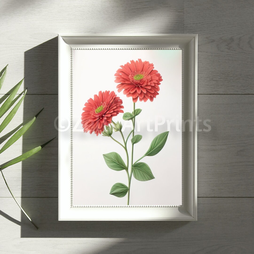 Zinnia Wall Art, Printable Zinnias Illustration, Red Zinnia Flowers ...
