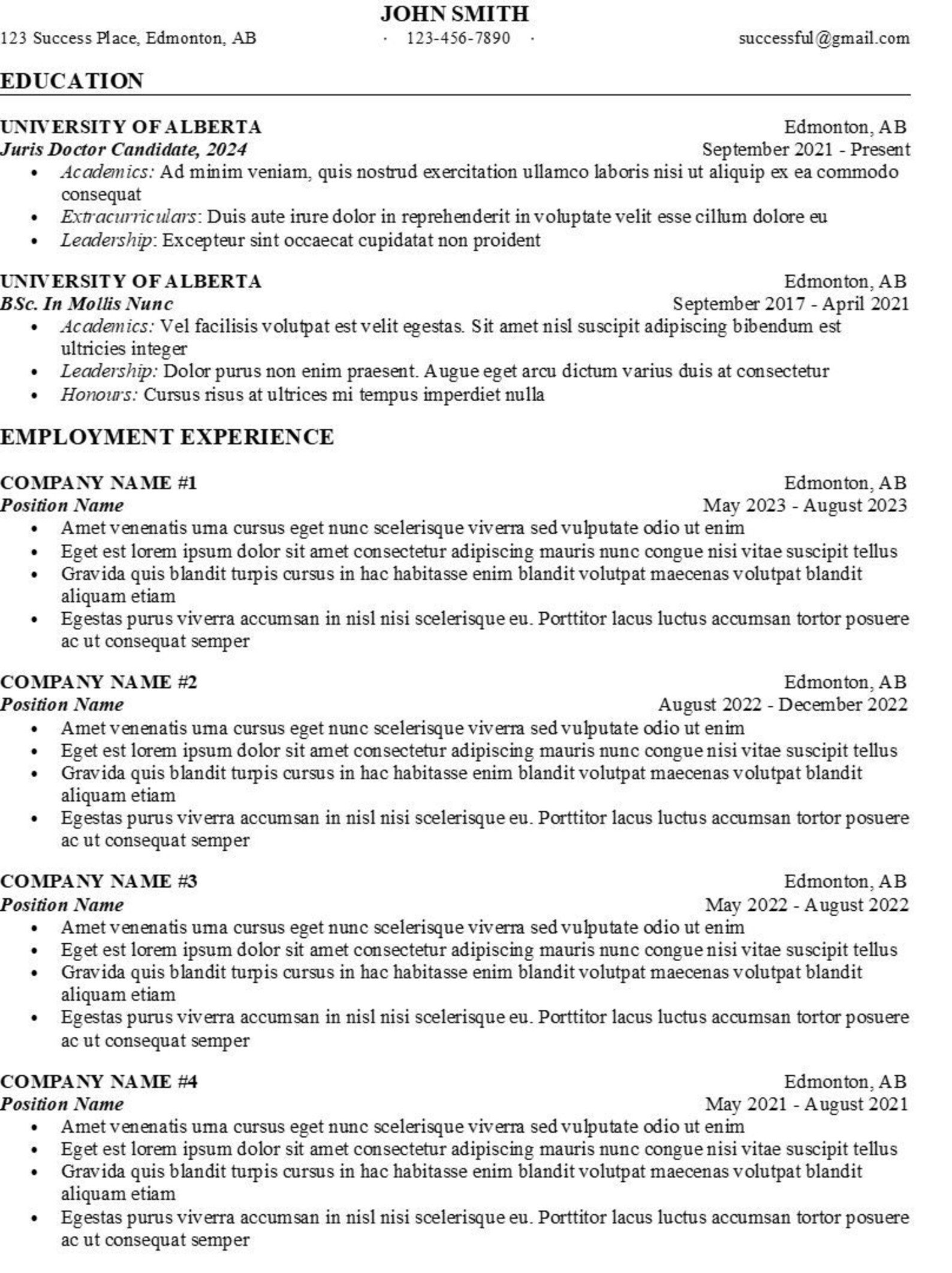 Professional, Fillable Resume Template, 1-2 Page Minimalist CV - Etsy