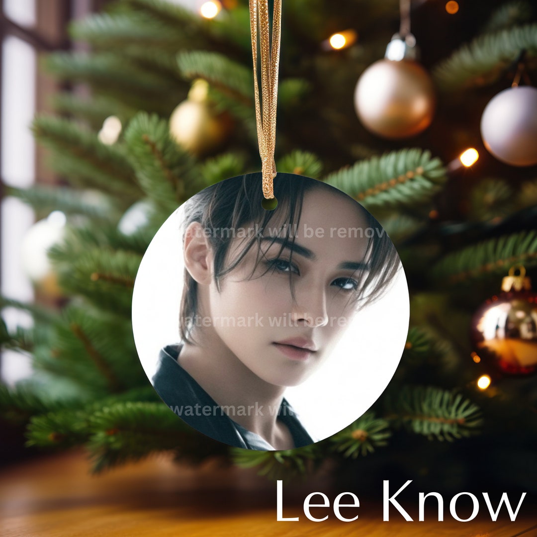 Lee Know Stray Kids Kpop Christmas Ornament Kpop Ornament - Etsy