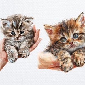 10 Fluffy Kitten in Hand PNG Clipart, Cute Kitty Cat for Sublimation ...
