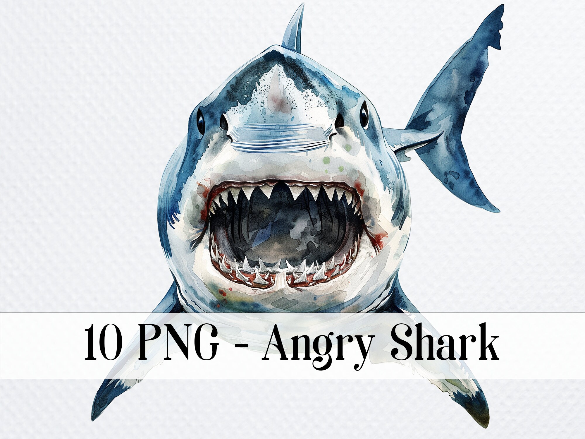 10 PNG Angry Shark Bundle, Watercolor White Shark Clipart, Printable ...