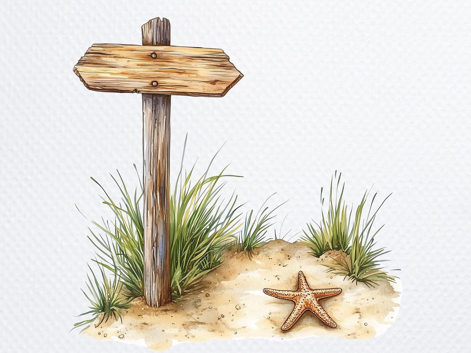 13 Wooden Sign PNG Clipart Bundle, Beach Sign Png, Nautical Signs ...