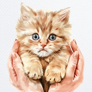 10 Fluffy Kitten in Hand PNG Clipart, Cute Kitty Cat for Sublimation ...