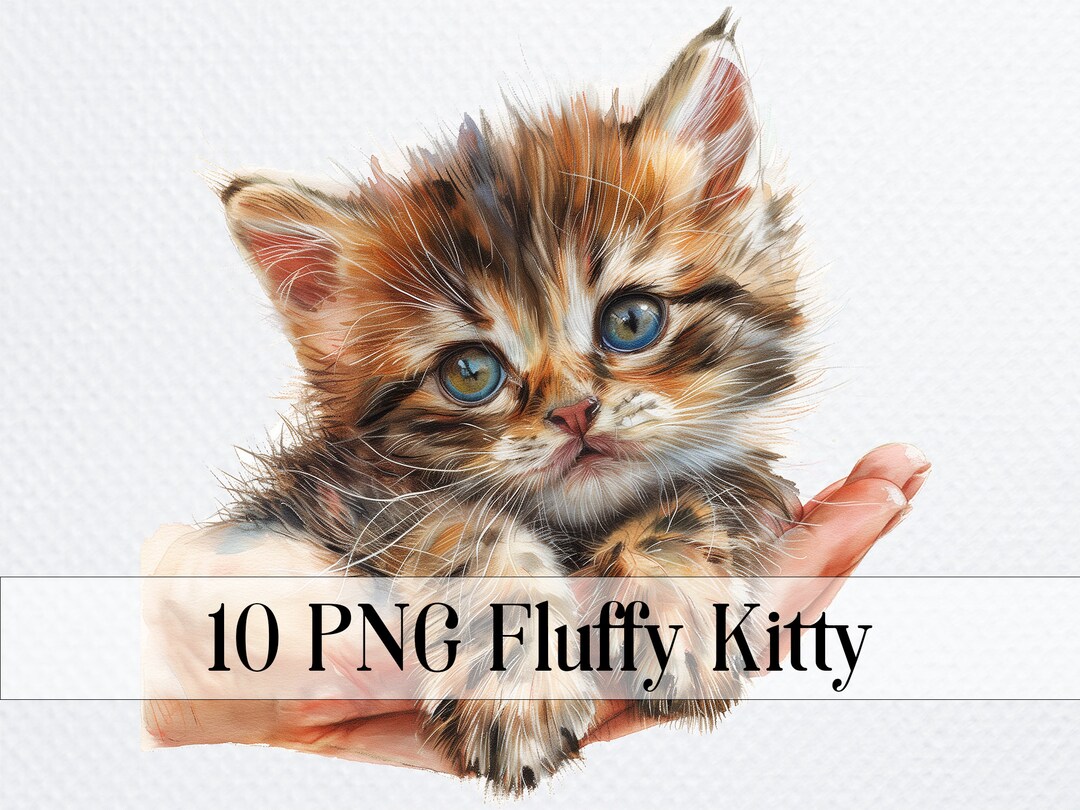 10 Fluffy Kitten in Hand PNG Clipart, Cute Kitty Cat for Sublimation ...
