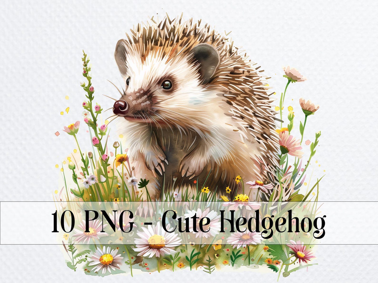 10 Cute Hedgehog PNG Bundle, Printable Watercolor Floral Hedgehog ...