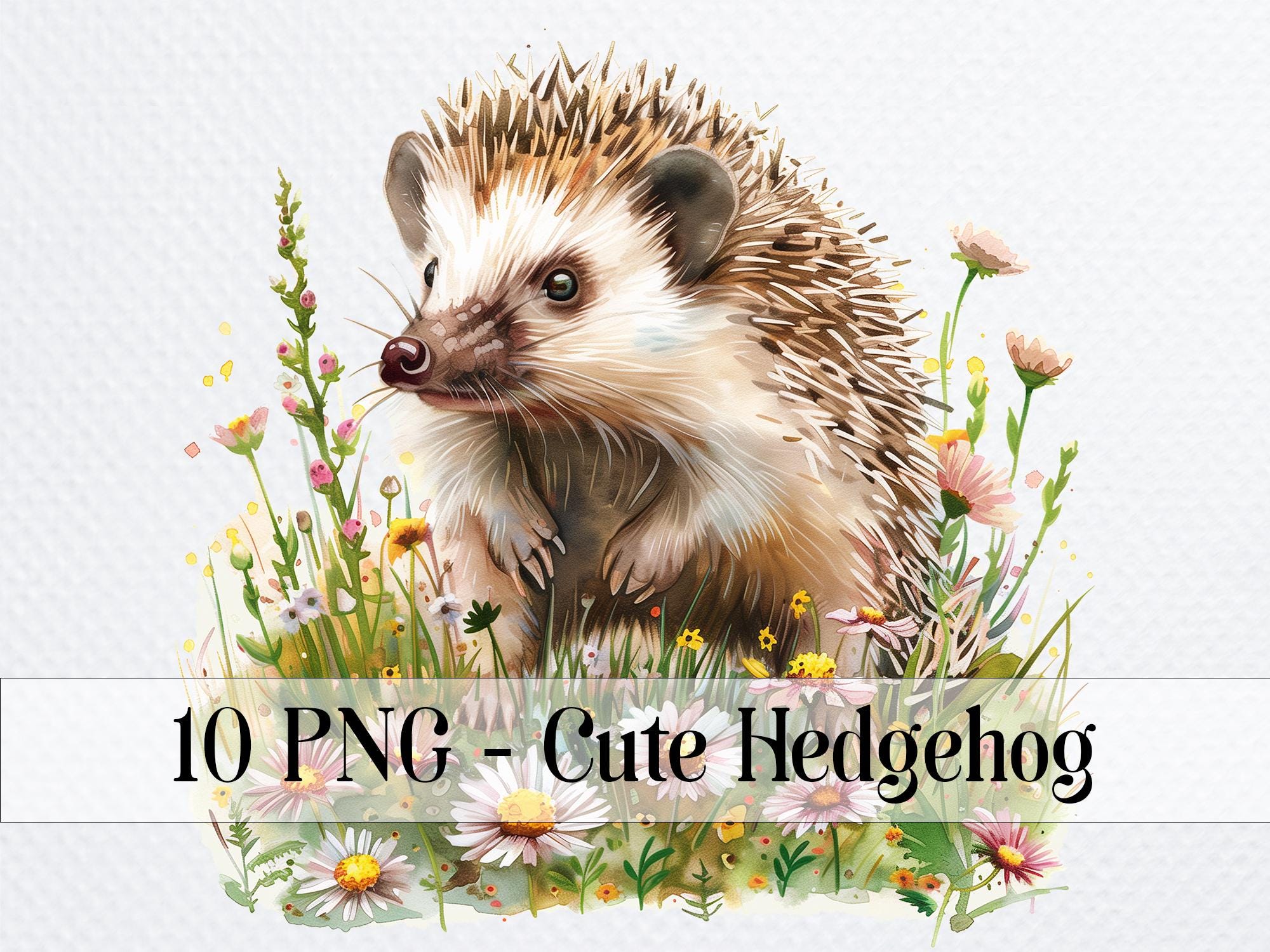 10 Cute Hedgehog PNG Bundle, Printable Watercolor Floral Hedgehog ...