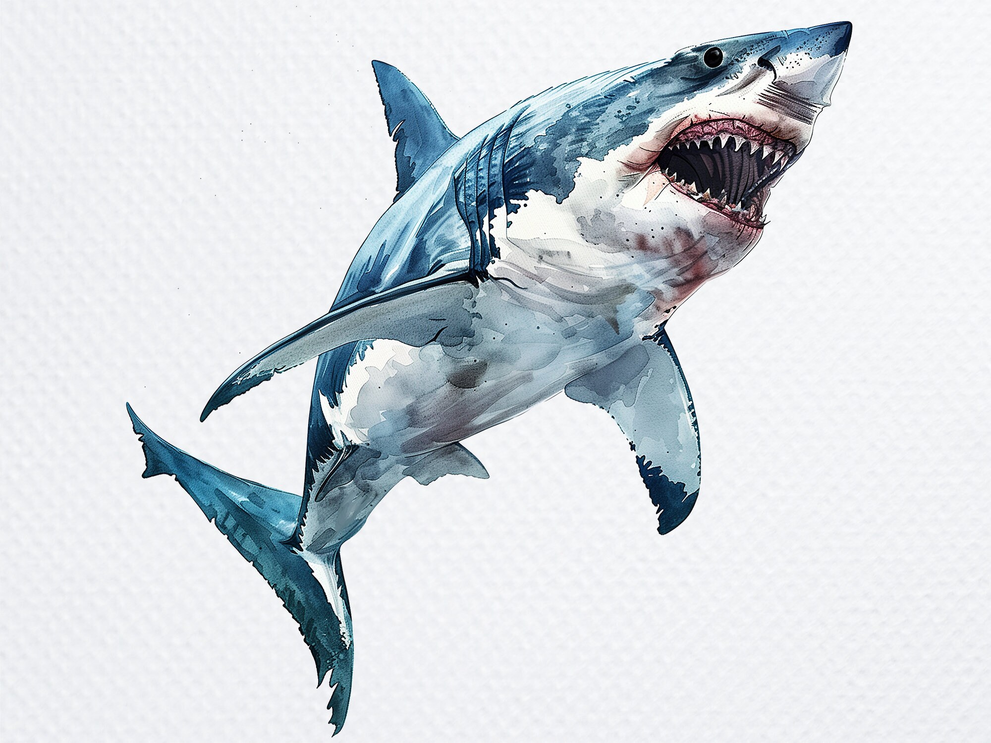 10 PNG Angry Shark Bundle, Watercolor White Shark Clipart, Printable ...