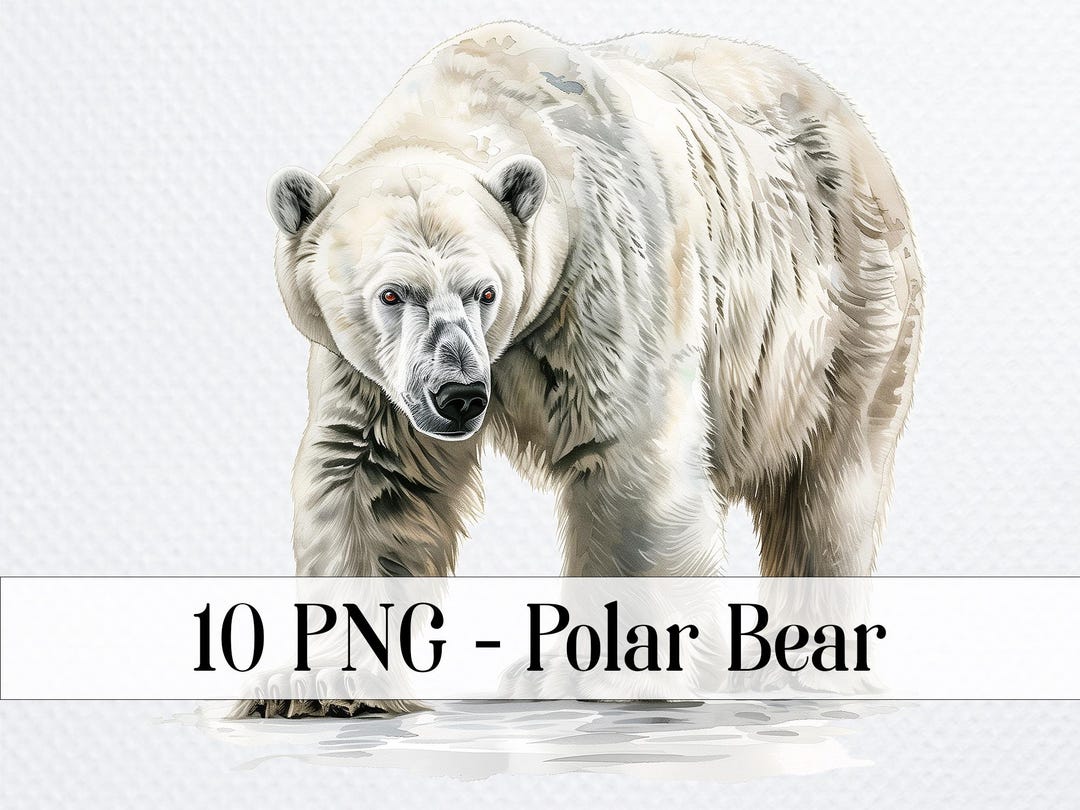 10 Polar Bear PNG Clipart Bundle, Printable Watercolor Sublimation ...