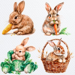 15 PNG Fluffy Bunny Bundle, Rabbit Clipart, Printable Watercolor ...