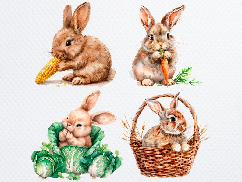 15 PNG Fluffy Bunny Bundle, Rabbit Clipart, Printable Watercolor ...