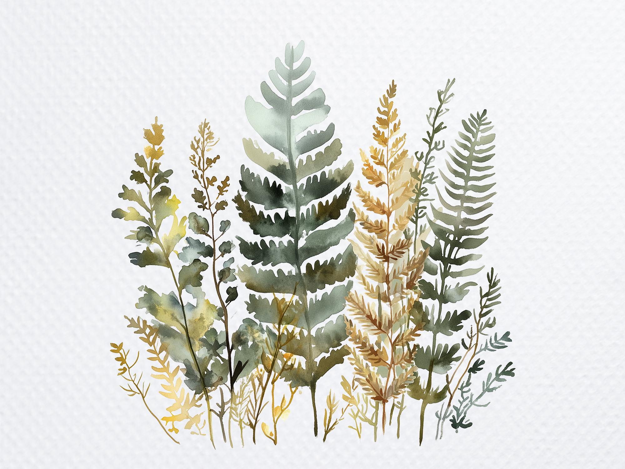 12 Forest Fern Leaves PNG Bundle, Printable Watercolor Fern Clipart for ...