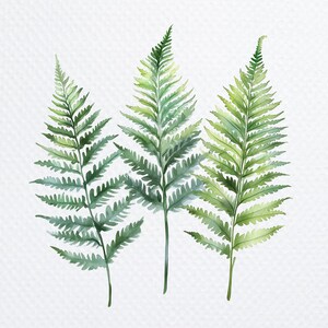 12 Forest Fern Leaves PNG Bundle, Printable Watercolor Fern Clipart for ...