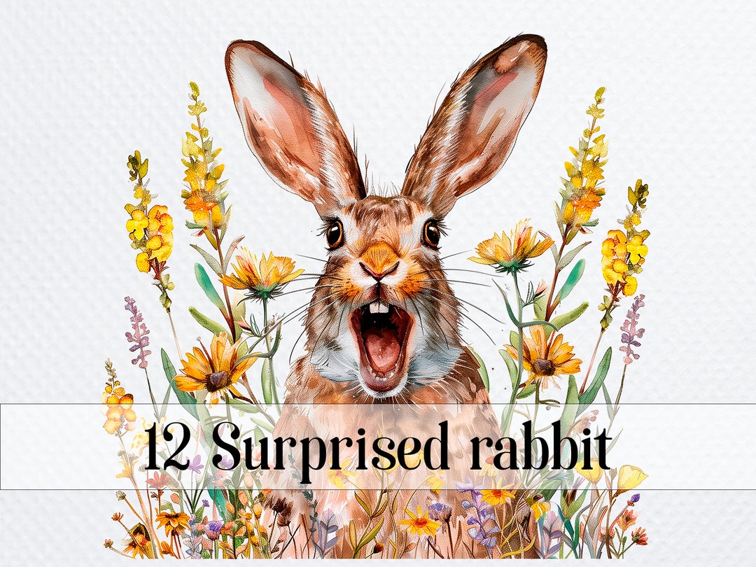 12 Surprised Rabbit Pngs Clipart, Amazed Hare Png for Sublimation ...
