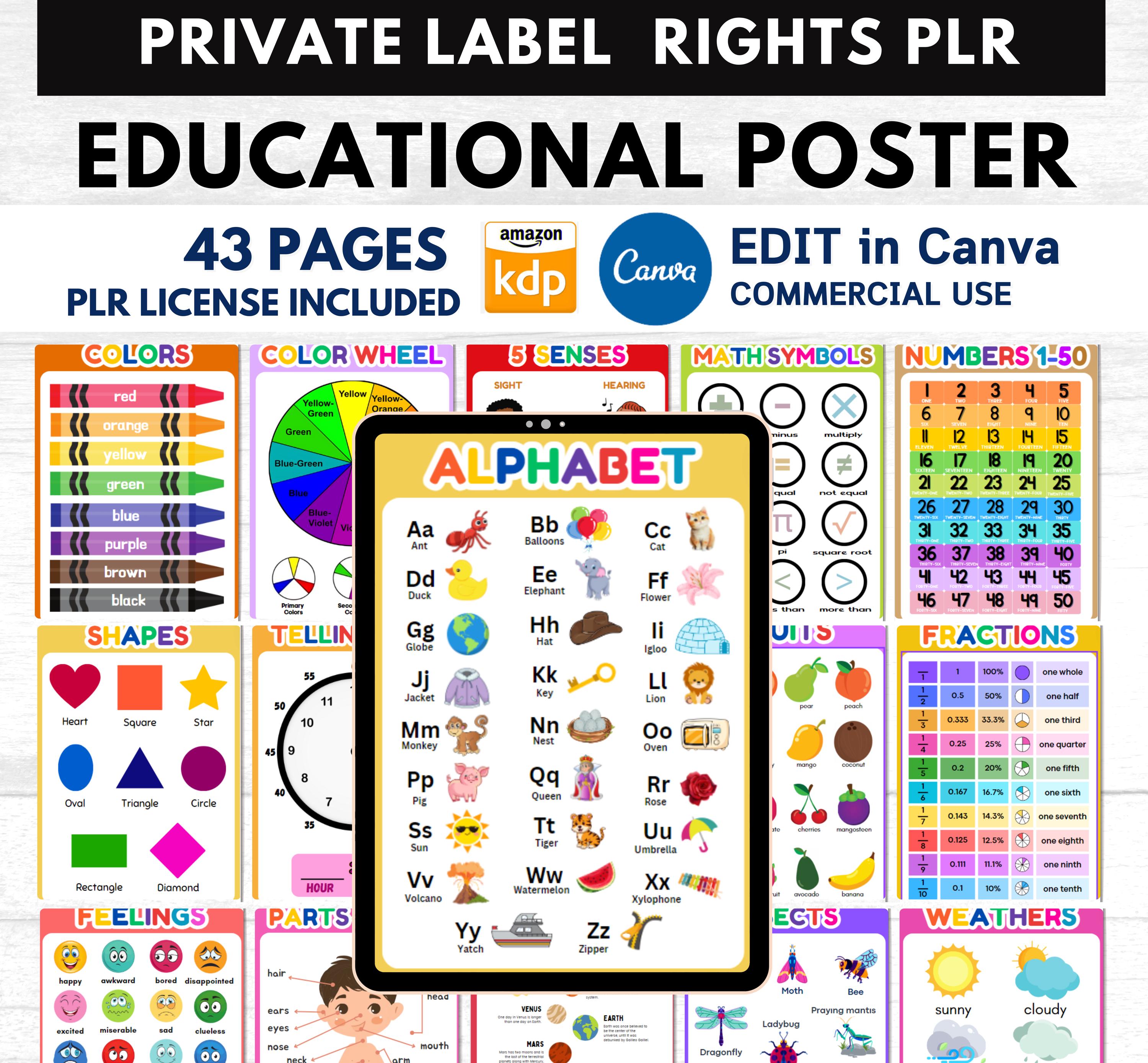 43 Educational Poster PLR Flashcard Canva Editable Preschool ...