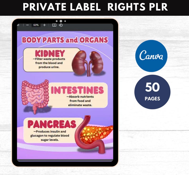 Human Anatomy Booklet PLR Systems Organs Parts of the Body, Anatomy ...