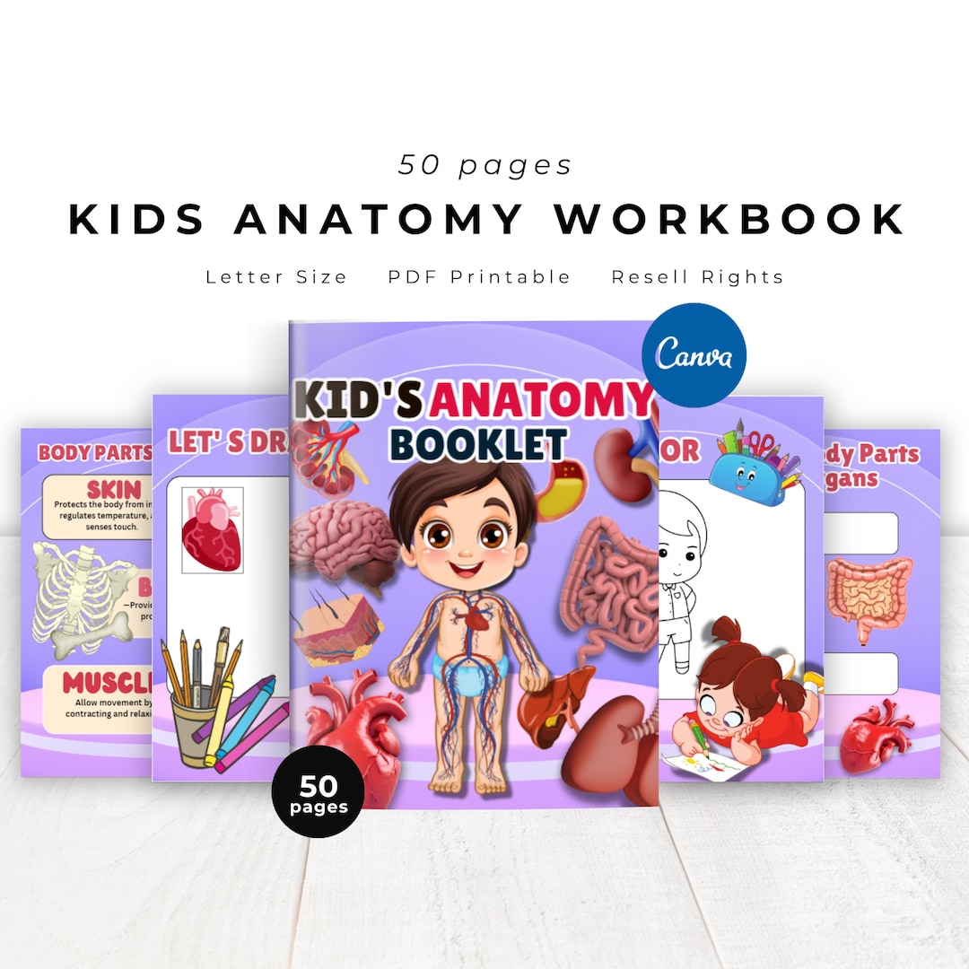 Kids Anatomy Systems Worksheet Editable Body Parts, Organ Anatomy Busy ...