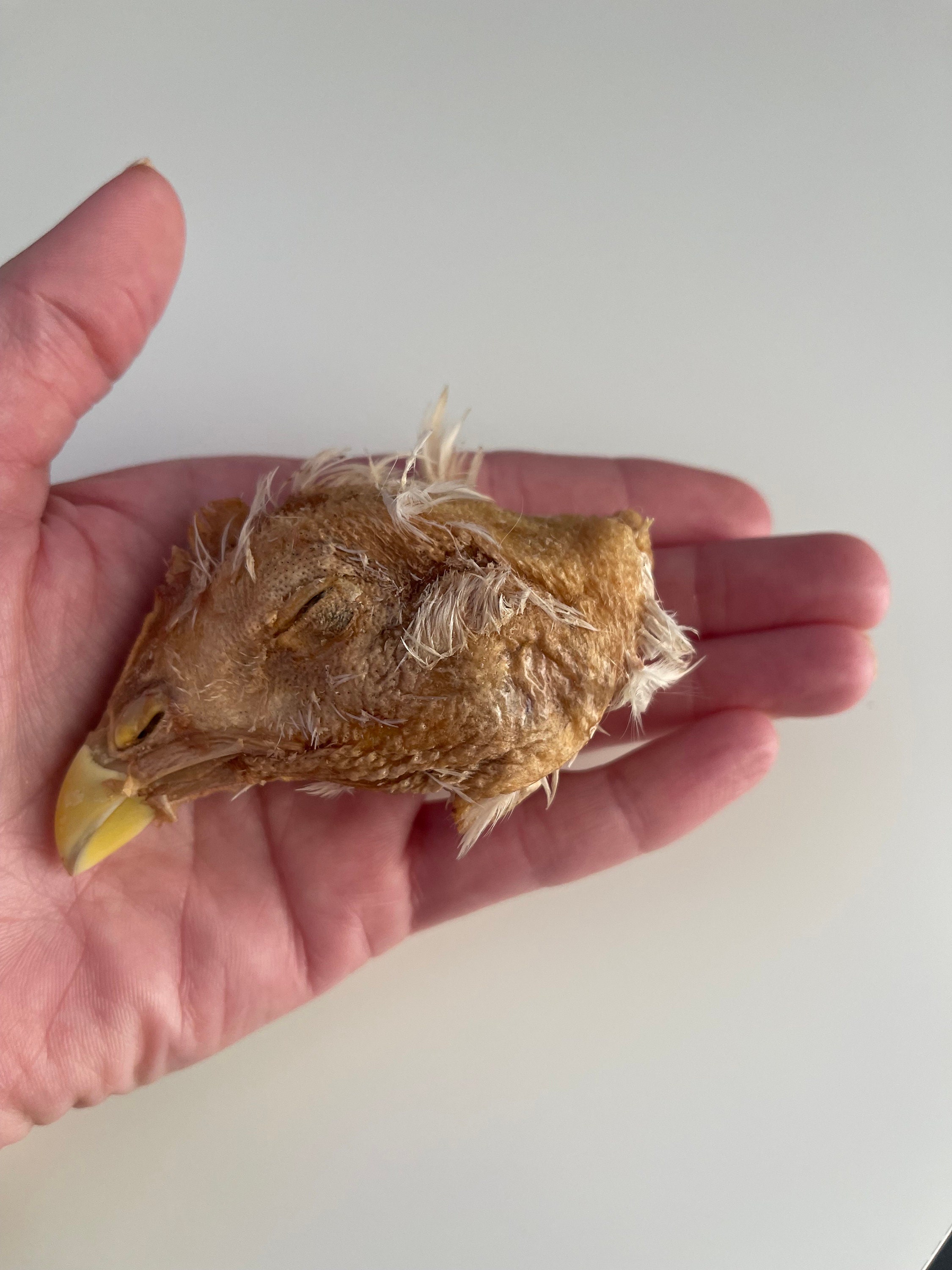 Freeze Dried Raw Chicken Heads - Pet Treats - Etsy