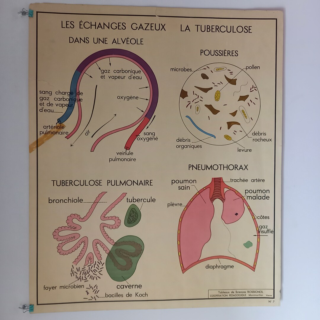 Educational, School Poster ROSSIGNOL Science Table 50s 60s, Gas ...