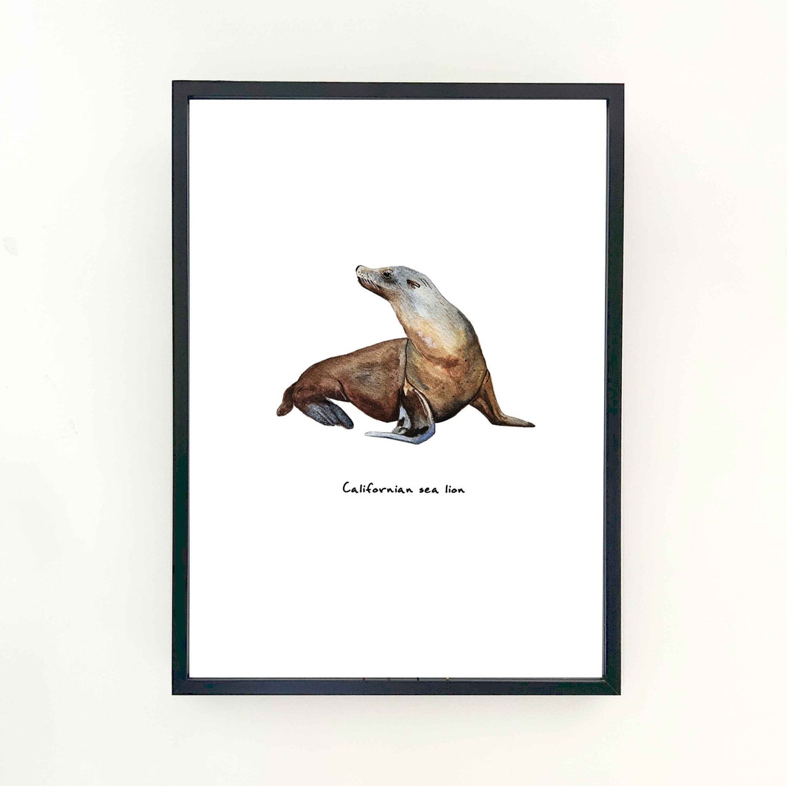 Californian Sea Lion Poster Kids Room Nursery Poster - Etsy