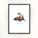 Californian Sea Lion Poster Kids Room Nursery Poster - Etsy