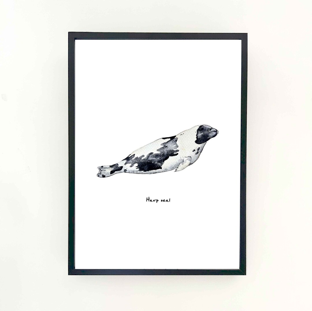 Harp Seal Poster Kids Room Nursery Poster - Etsy