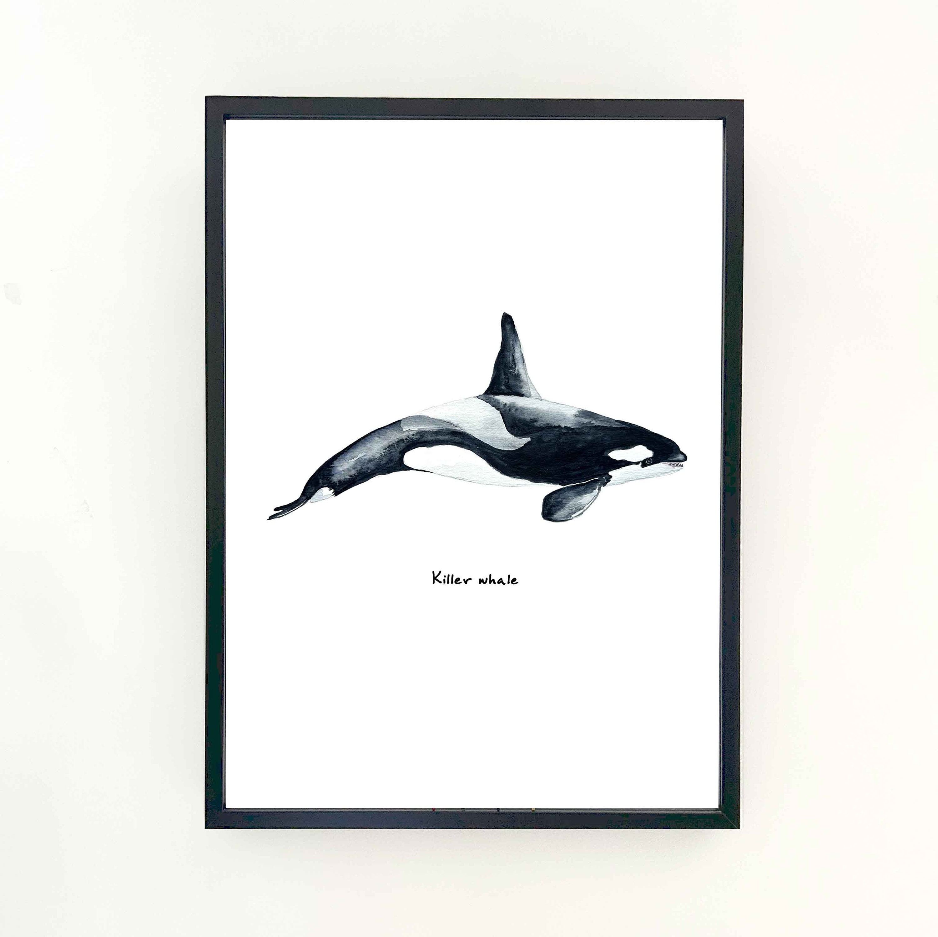 Killer Whale Poster Kids Room Nursery Poster - Etsy