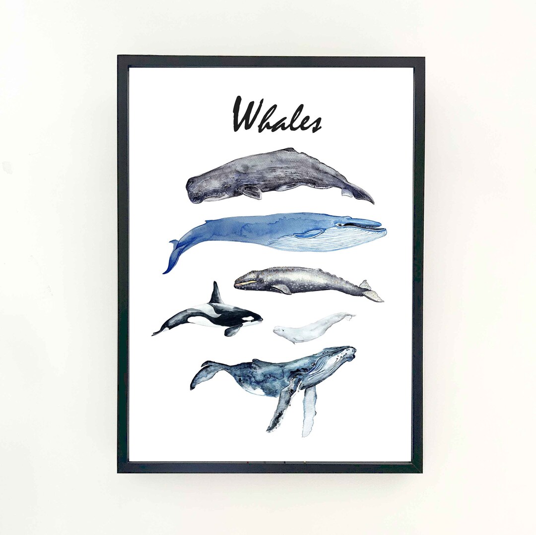 Downloadable Printable Whales Poster - Etsy